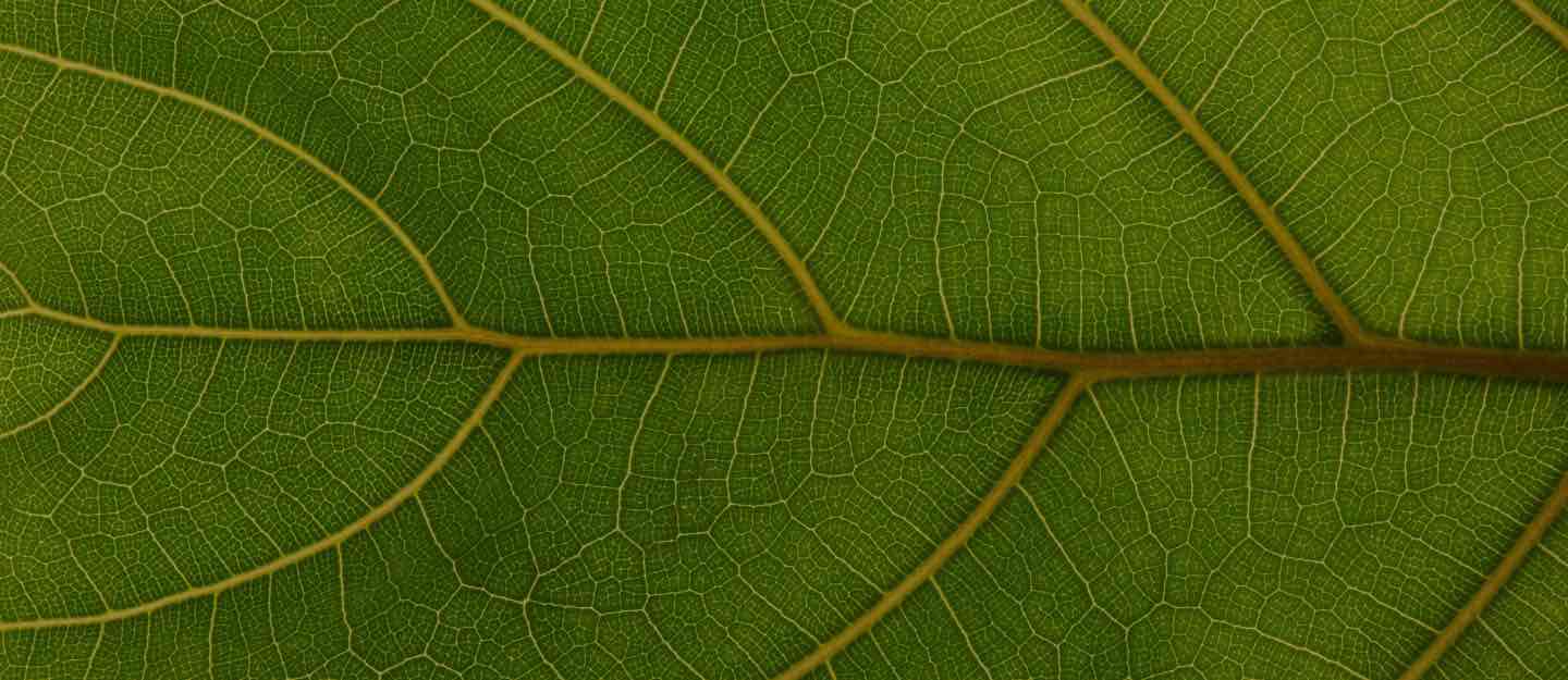 Consulting Engineers and Scientists | Terracon